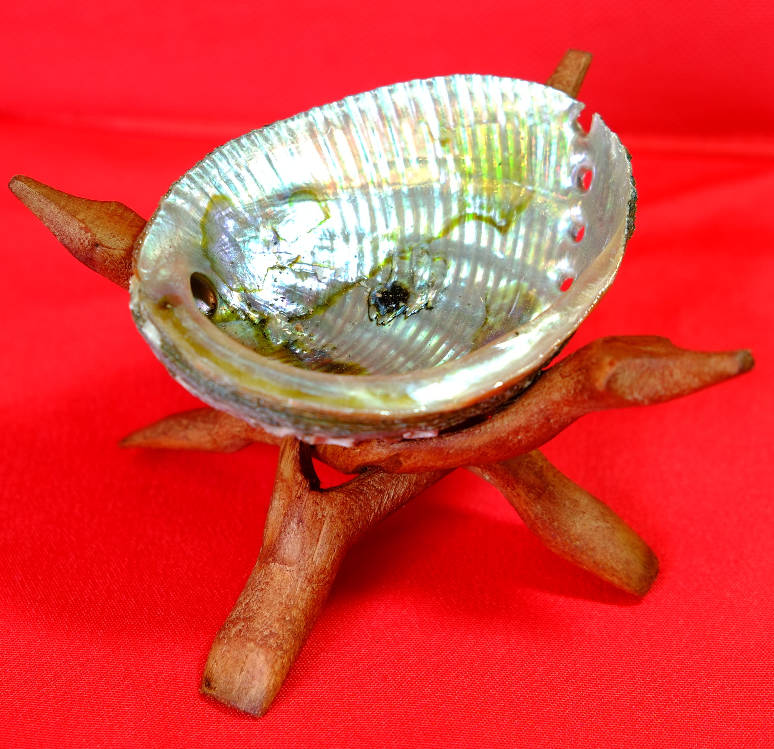 Abalone Shell w/ Wooden Tripod Stand - Divine World Botanicals